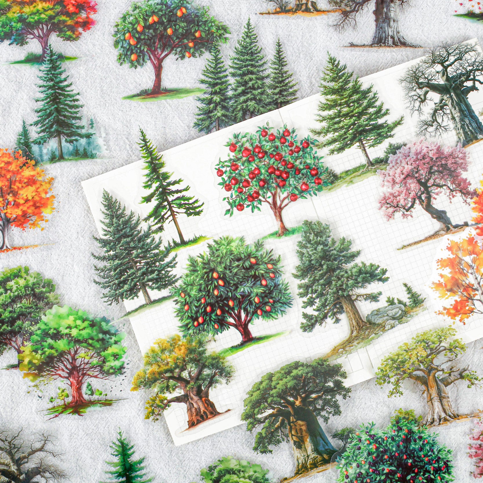 Branch Sticker 15pcs – Estarcase